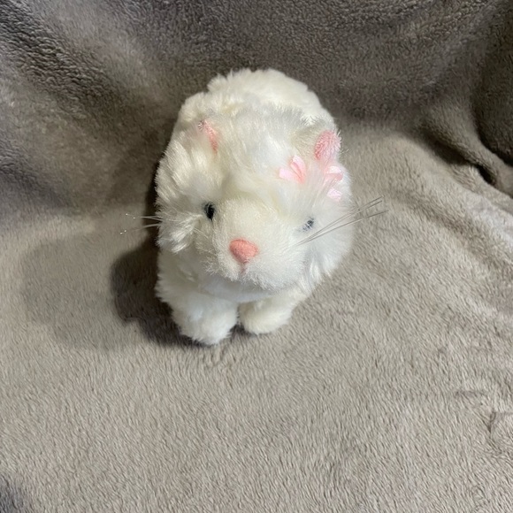 GANZ | Toys | Webkinz Collectable Plushpersian Cat | Poshmark